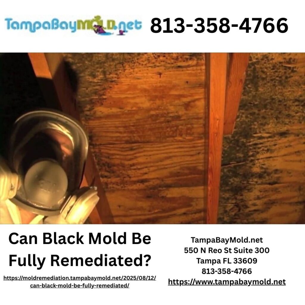 Can Black Mold Be Fully Remediated?