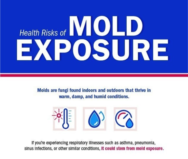 What Health Risks Are Associated With Mold Exposure?