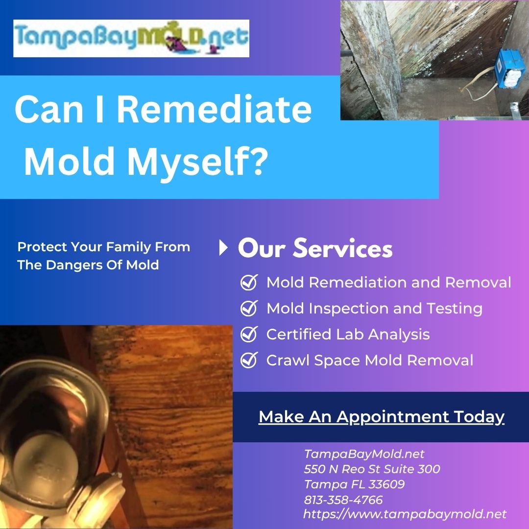 Can I Remediate Mold Myself?